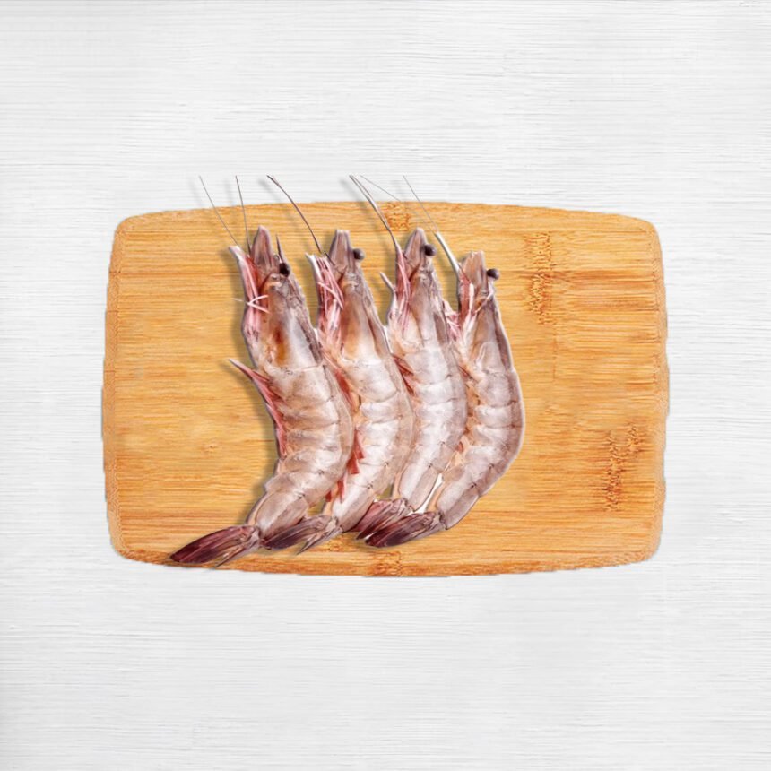 Home - Fish Net