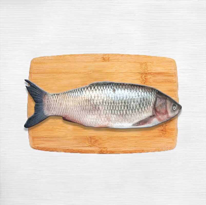 Rohu Fish 1.5 KG Plus - Fish Net