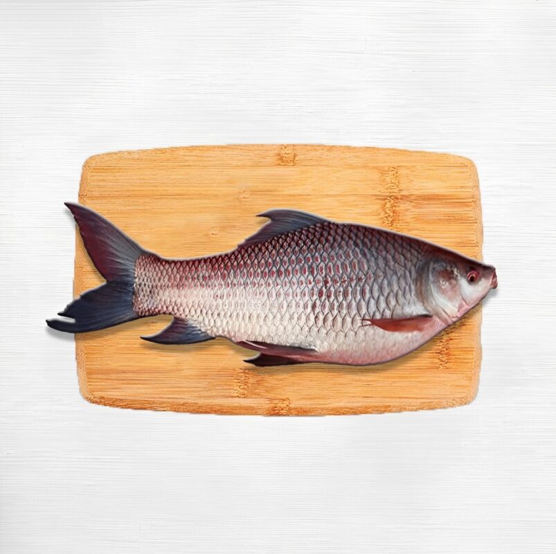 Rohu Fish 2.5 KG Plus - Fish Net